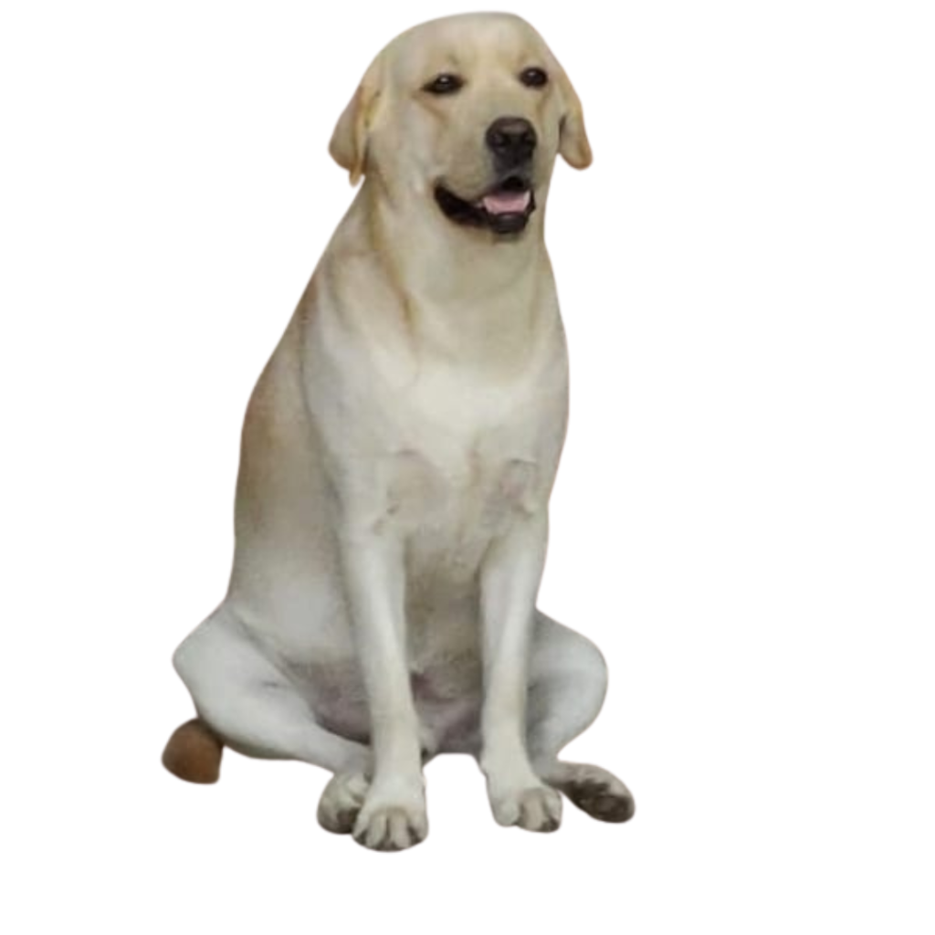 Jordan Elkins Appointed as Head of People and Talent at American ...